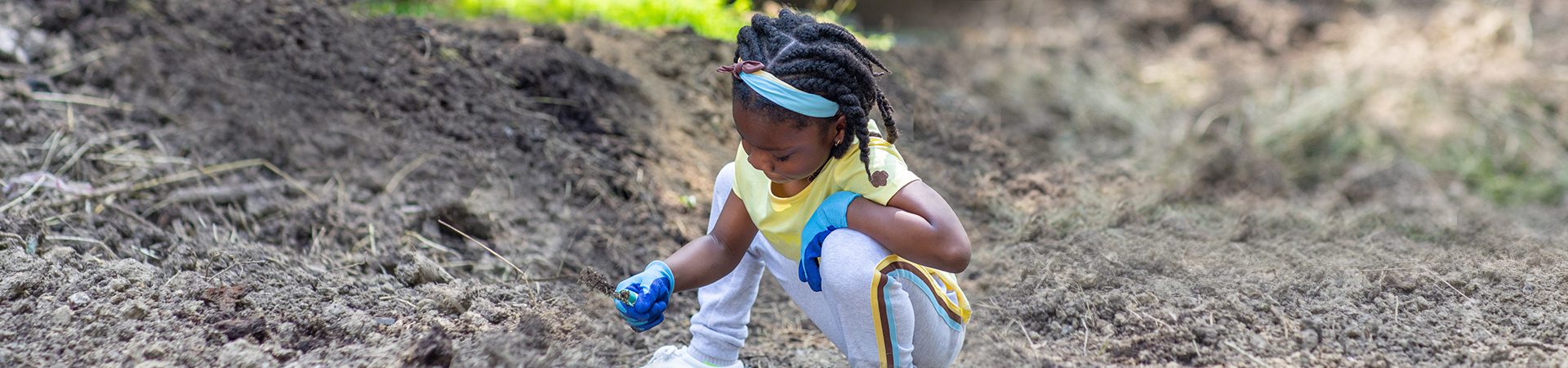 Daisy Composting Activity